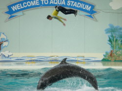 Home [www.onmarkproductions.com]